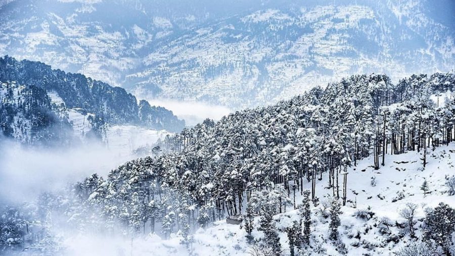 Patnitop hill station of himalayas - MashaHur.Com
